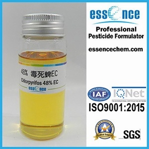 Chlorpyrifos